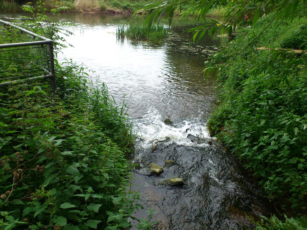 Terrifying Rapids by Jane Moorman River - Jones Boatyard